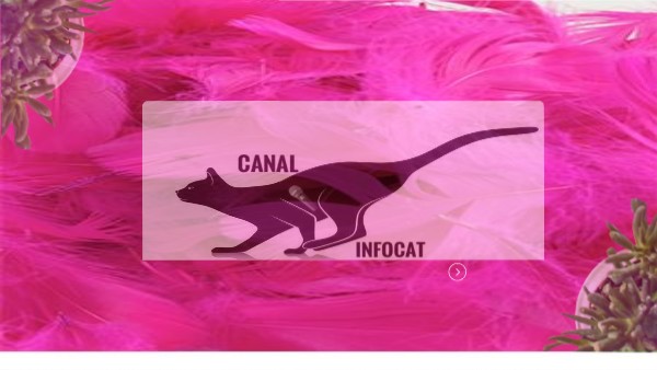 PRESENTACIÓN DEL CANAL INFOCAT