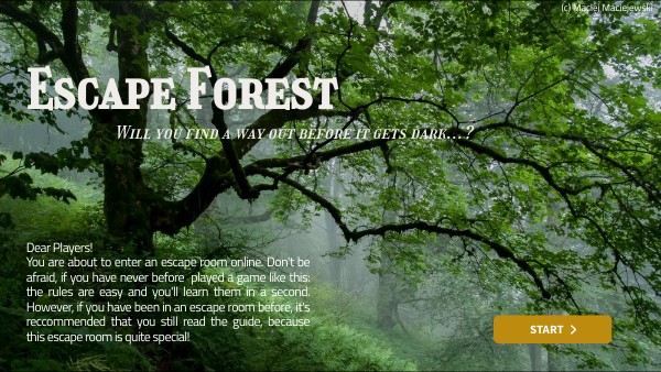 Escape forest - English translation | Genially