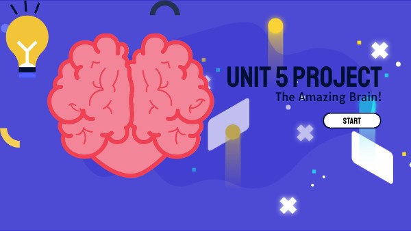 The Amazing Brain- PROJECT | Genially