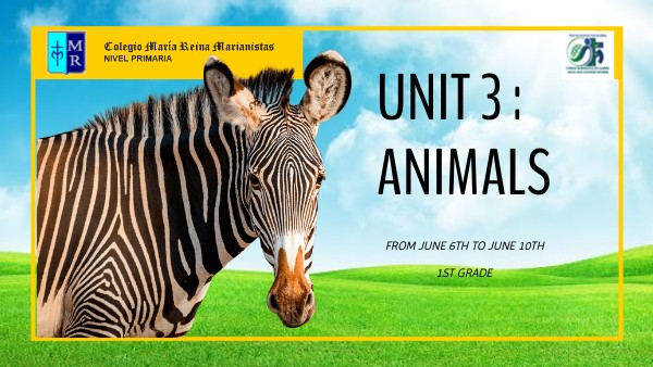 PPT 1 - ANIMALS VOCABULARY - SENTENCES | Genially