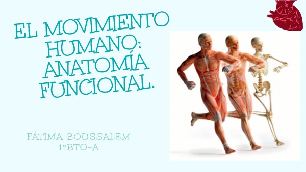 El movimiento humano: Anatomía funcional.FÁTIMA BOUSSALEM 1BTO-A | Genially