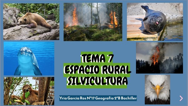 Yria García Ros - TEMA 7: ESPACIO RURAL SILVICULTURA | Genially