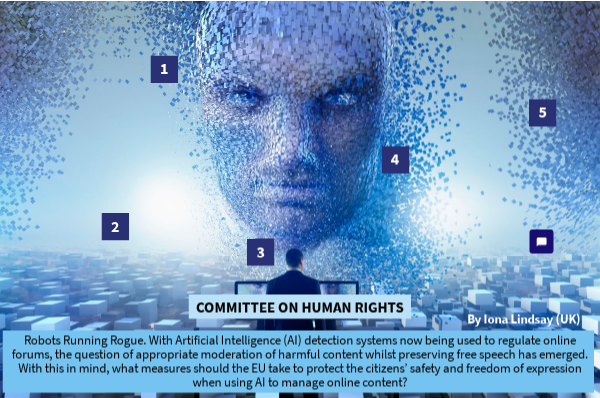 DROI Topic Overview | Genially