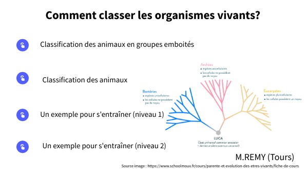Classification | Genially