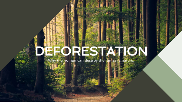 Deforestation