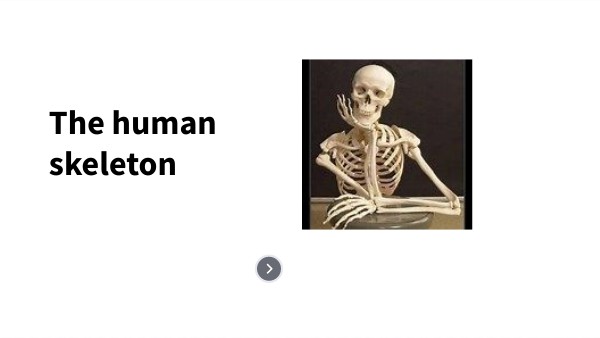 1ºThe human skeleton