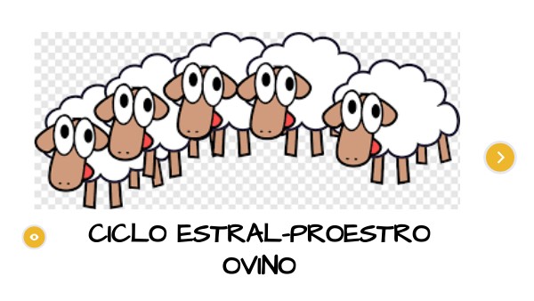 PROESTRO.