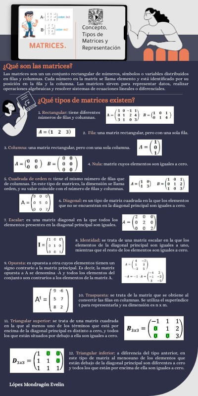 Infografía Matrices | Genially