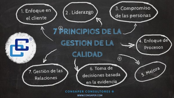 Principios de la Gestión de la Calidad - CONSAPER VIRTUAL