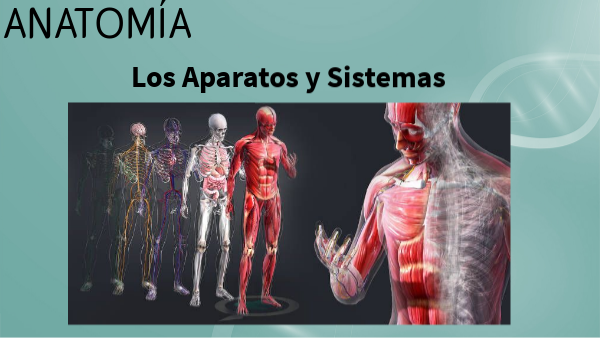 Los aparatos | Genially