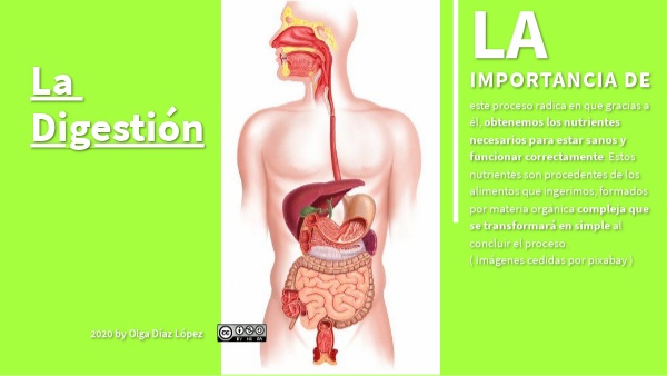 La Digestión | Genially