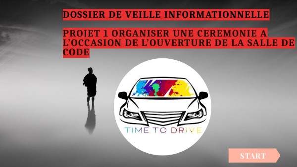 PRESENTATION VEILLE INFORMATIONNELLE | Genially