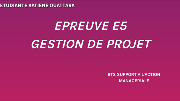 DIAPO DE PRESENTATION PROJET 2