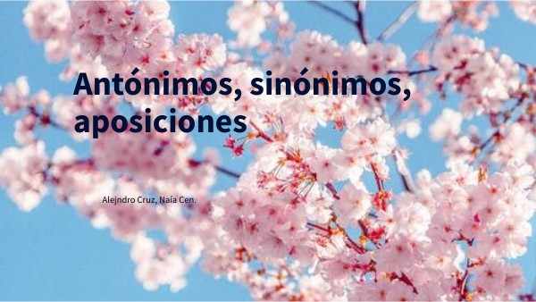 Sinónimos, antónimos, y aposiciones | Genially