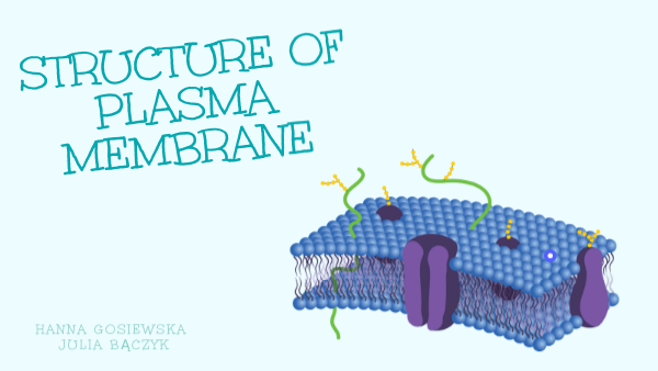 Structure of cell membrane | Genially