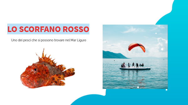 LO SCORFANO ROSSO | Genially