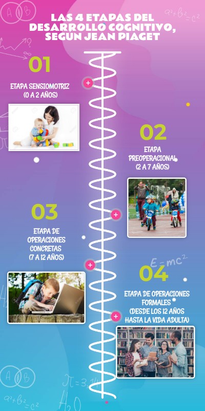 Genially Las 4 Etapas Del Desarrollo Cognitivo, Según Jean | Genially