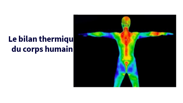 bilan thermique du corps humain