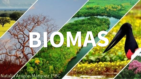 Tema 10: Biomas