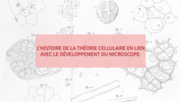 L'HISTOIRE DE LA THÉORIE CELLULAIRE EN LIEN AVEC LE DÉVELOPPEMENT DU M