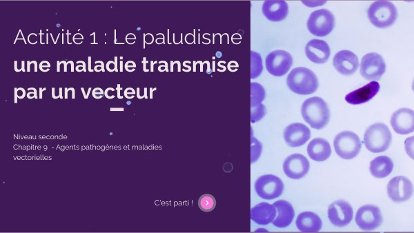 Le paludisme | Genially