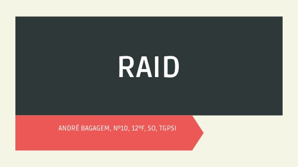 Raid WS2019