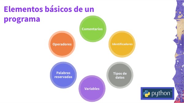 Elementos basicos programa