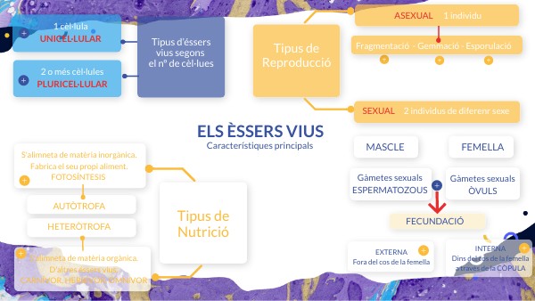 MAPA MENTAL essers vius | Genially
