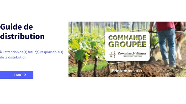 BASIC GUIDE | Genially