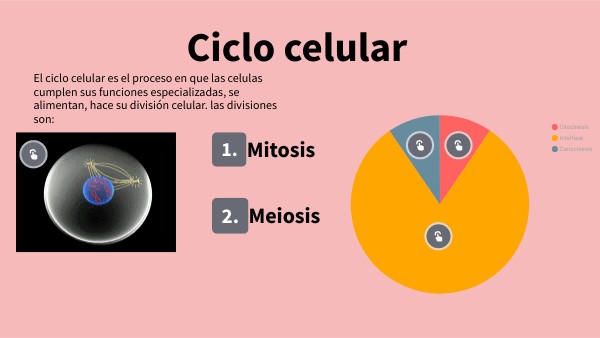 CIclo celular | Genially