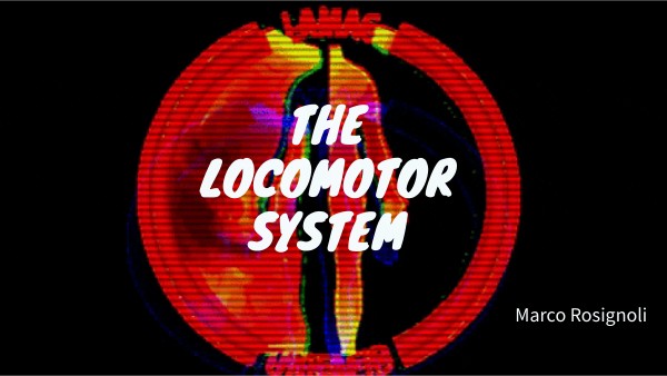 the locomotor system