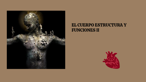 El Cuerpo Estructuras y Funciones II