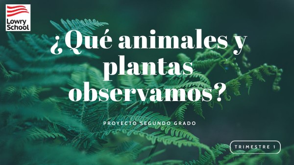 Presentación Miss Vianey - ¿Qué animales y plantas observamos? | Genially