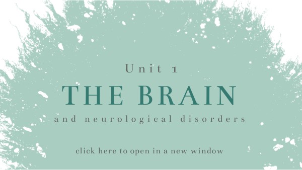 Unit 1: the brain