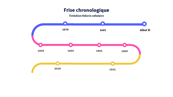 frise chronologique sur l évolution cellulaire. | Genially