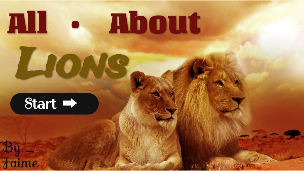 All About Lions