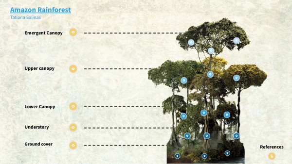 Amazon Rainforets | Genially