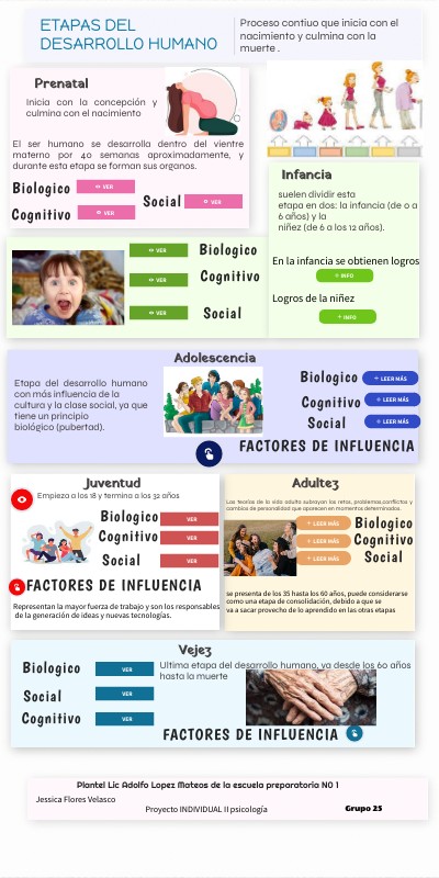 Etapas del desarrollo humano | Genially