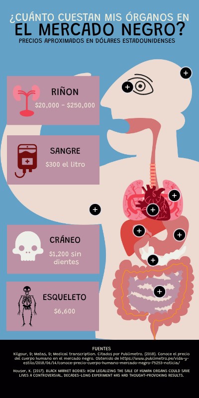 Precios de los órganos en el mercado negro | Genially