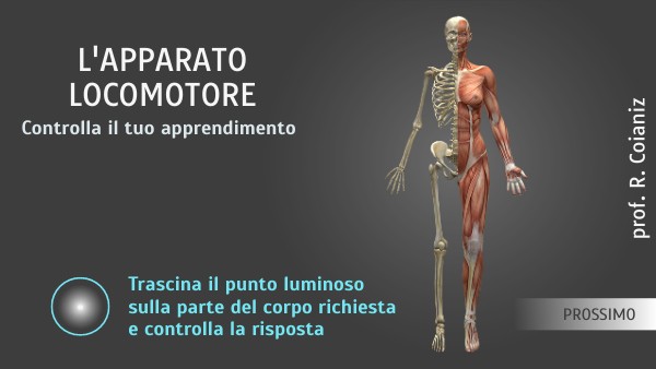 SU - Apparato locomotore QUIZ | Genially