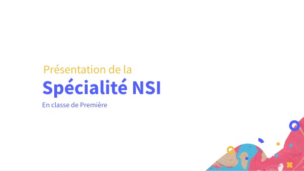 Vidéo présentation NSI - PO 2023
