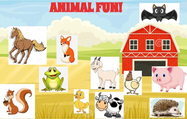 ANIMAL FUN