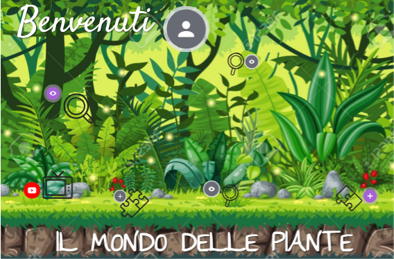 LE PIANTE