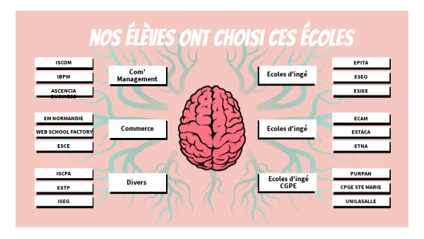 Les écoles de nos élèves