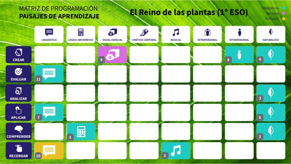 MATRIZ DE PROGRAMACIÓN- Emilio Campos