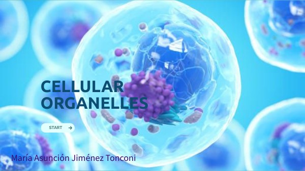 Cellular Organelles | Genially