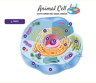 Animal Cell