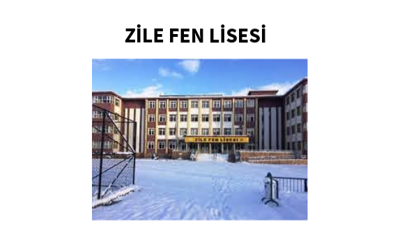 Zi̇le Fen Li̇sesi̇ Genially