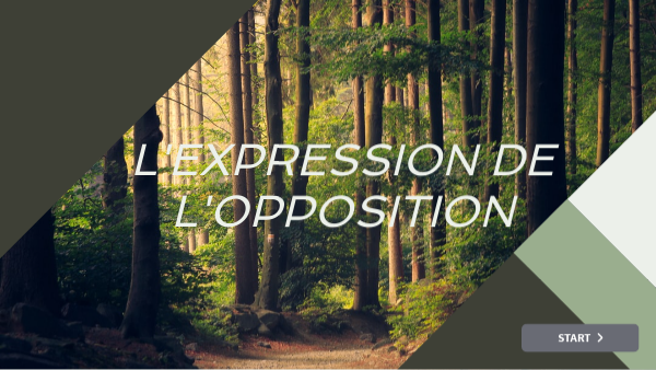 L'expression de l'opposition