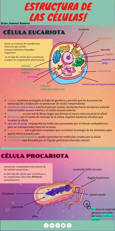 estructuras de las células | Genially
